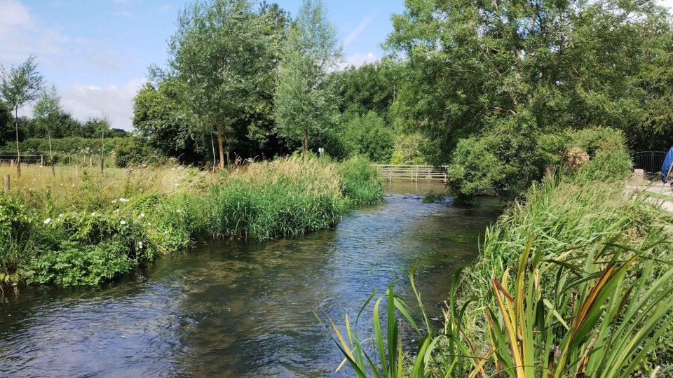 Water quality surveys | Smarter Water Catchment