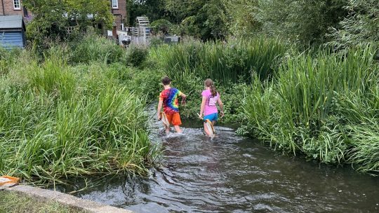 River Chess Smarter Water Catchment | Smarter Water Catchment