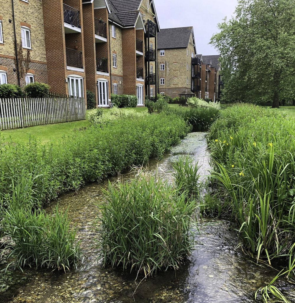 Chilterns Chalk Streams Planning Guidance | Smarter Water Catchment